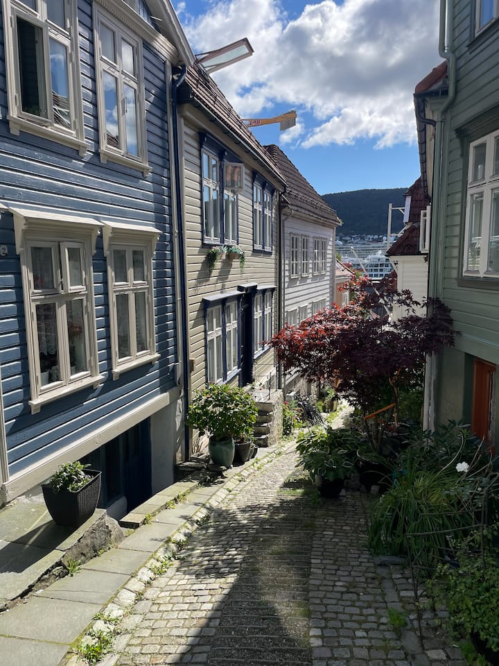 Sentralt Loft På Vakre Nordnes - Bergen
