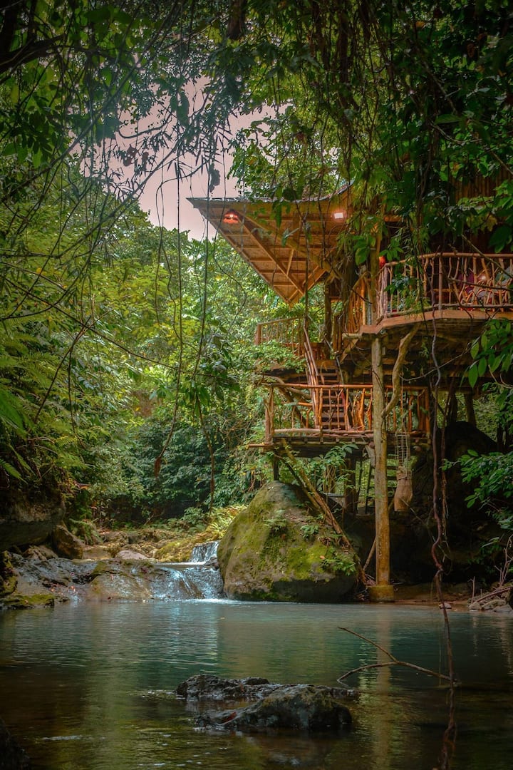 Treehouse De Valentine 1 - Balamban
