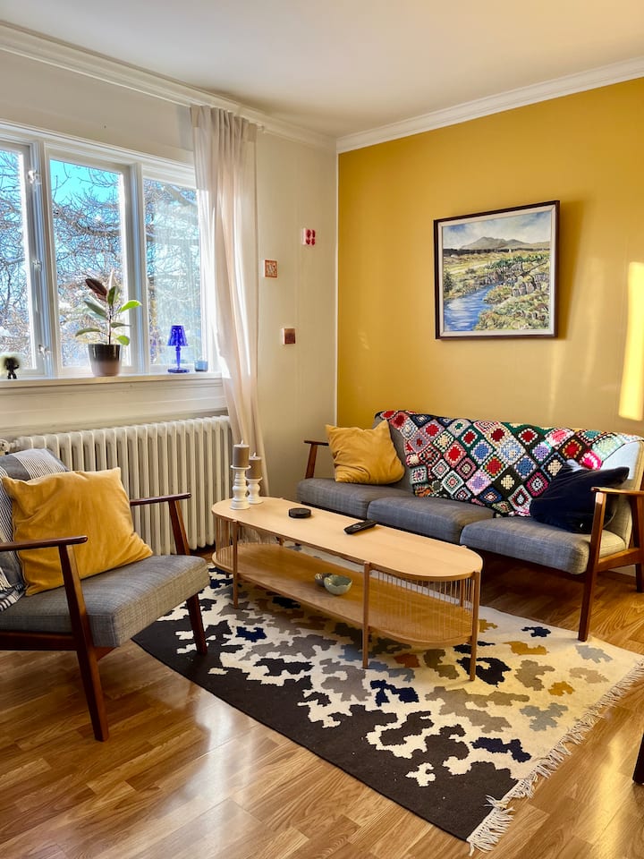 Charming And Colorful City Apartment - Iceland