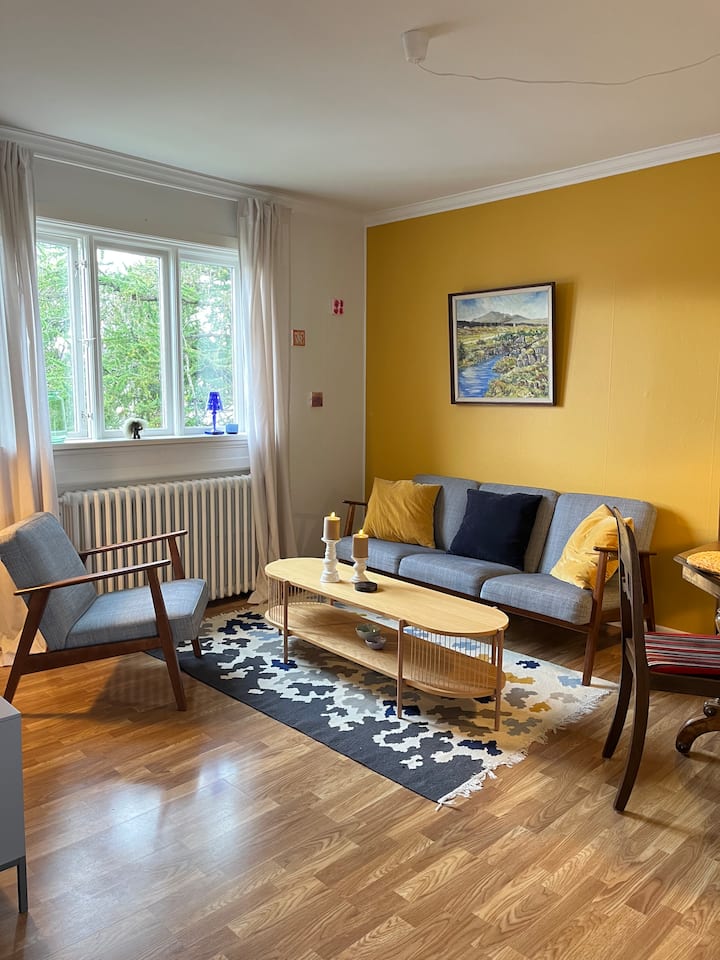 Charming And Colorful City Apartment - Reykjavík