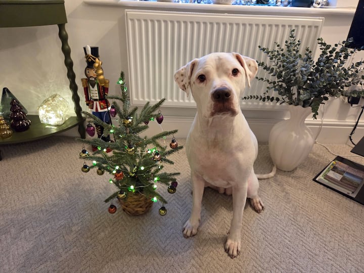 “Abbie’s Place”… Your Cosy Home Away From Home! - Glossop