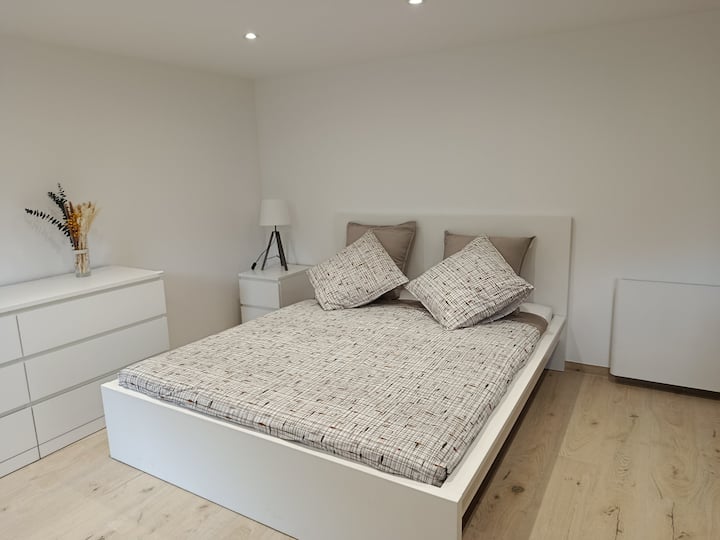 Studio Eurexpo Groupama Stadium Ldlc Arena - Chassieu