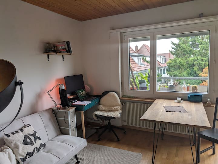 Sunny & Central Apartment - Thun - Thun