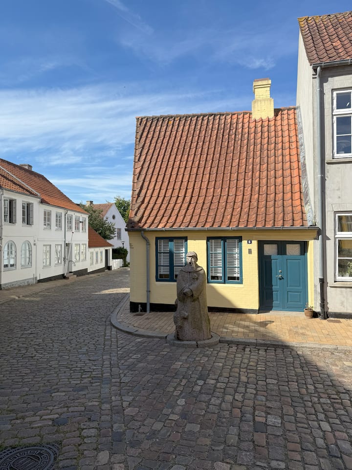 Historical Townhouse - Aabenraa