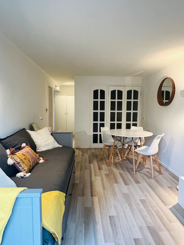 Acogedor Loft En Sector Premium De Santiago - Providencia