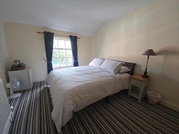 Unicorn Hotel Cozy Double - Llanidloes