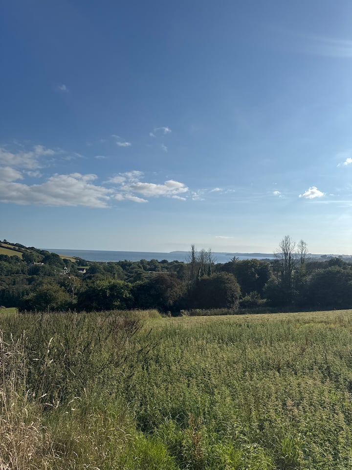 Beautiful Wild Camping Spot - Bodmin