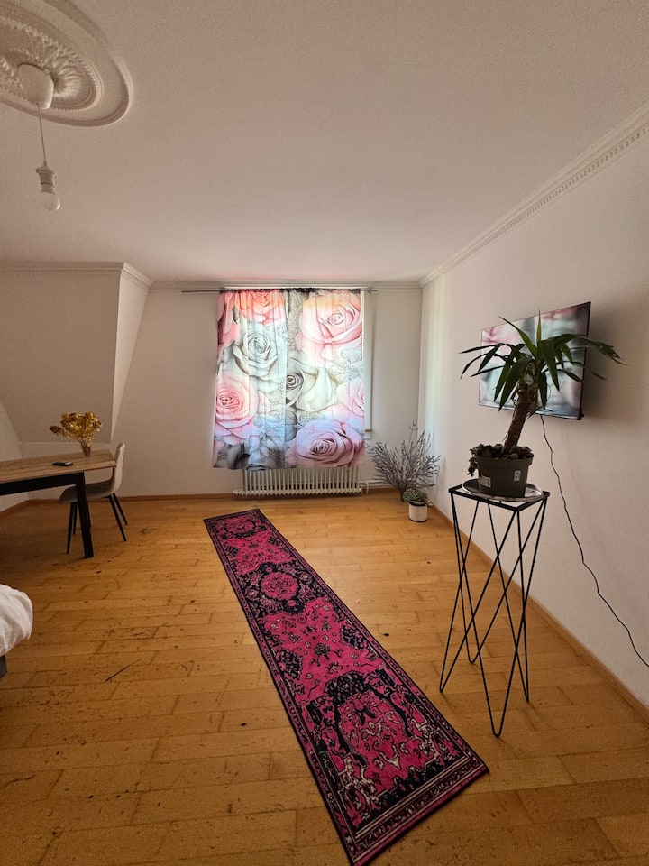 3 Zimmer Apartment In Zürich - Zürich