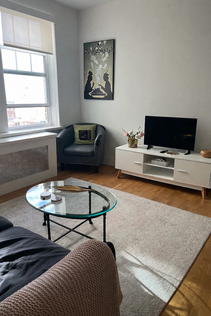 Entire1bedroom Apartment Crown Heights Brower Park - Brooklyn, NY