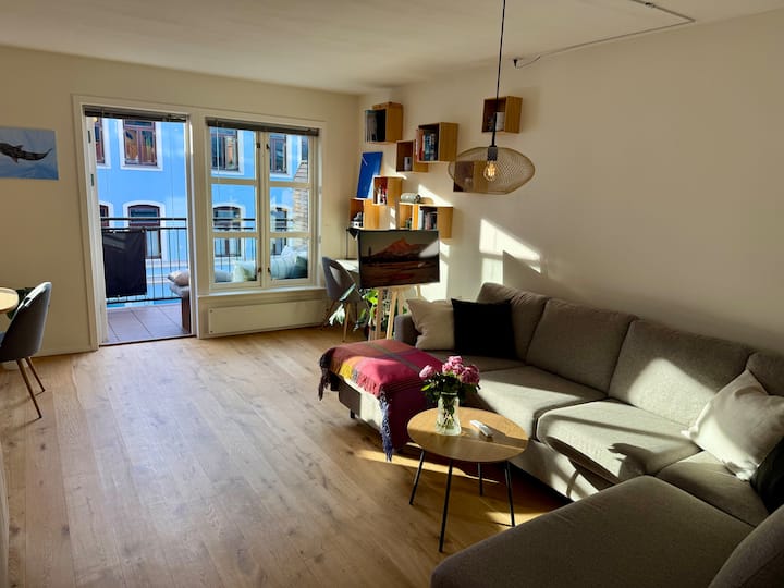 Cozy Central Apartment In Oslo - Oslo