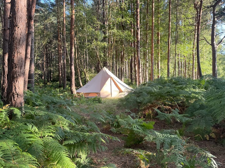 Glamming Nestled In The Woodlands - Woking