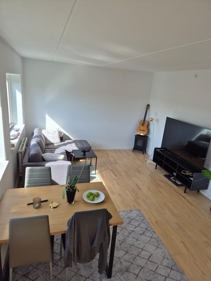 Hel Lejlighed Med Altan I Roligt Område - Kopenhagen