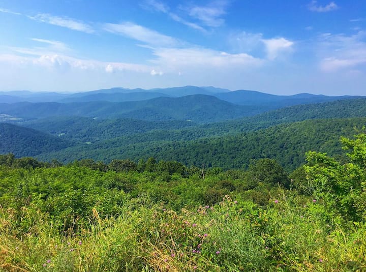 20 Acre Mountain Wellness Oasis • Hot Tubs • Hikes - Front Royal, VA