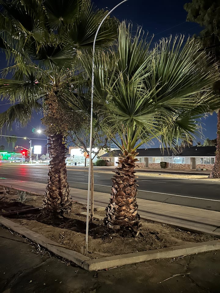 Rent A Whole House 4 Less: Unit #102a - アメリカ フレズノ, CA