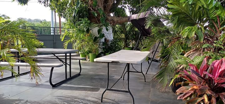 Verdant Studio Apartment - Tobago