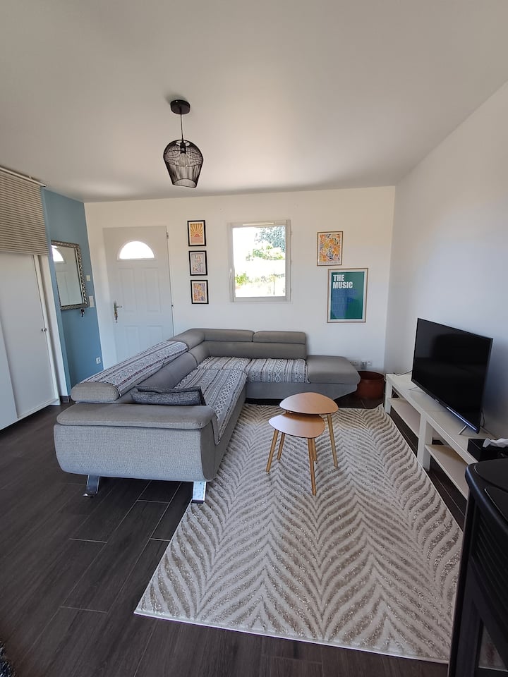 Maison Proche Des Commerces - Amboise