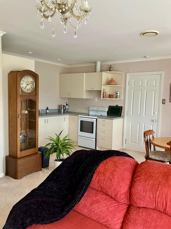 Tranquil Apartment In Westbrook, Palmerston North - Palmerston North