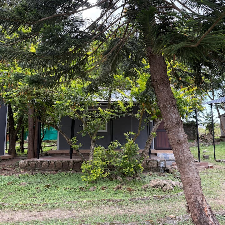 Family Room In Masinagudi (Resort Rover Holidays) - Bandipur