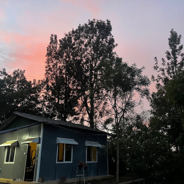 Family Room In Masinagudi (Resort Rover Holidays) - Masinagudi