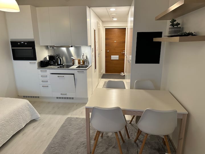 Areena Studio With Balcony. - Tampere