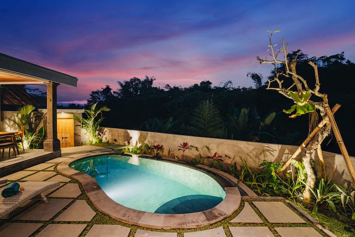 Bhagya Adi Jungle View Villa - Bali