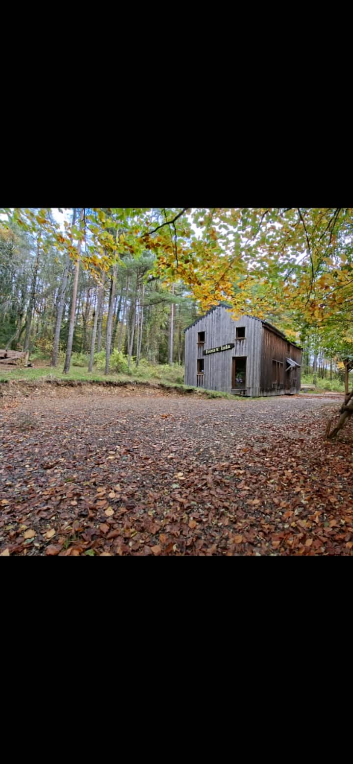 Hébergement Insolite En Forêt - Meuse