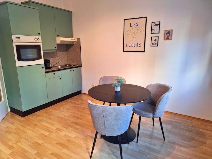 City-flat Linz Self-check-in - Linz