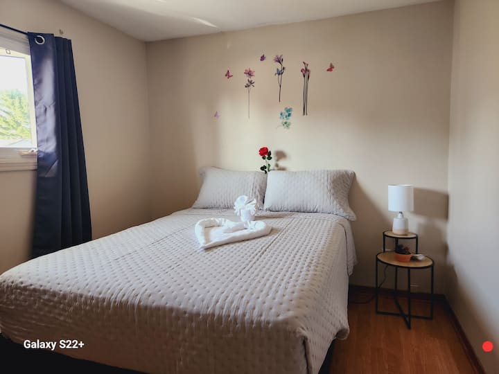 Bungalow In Parkwood Bathurst - Bathurst