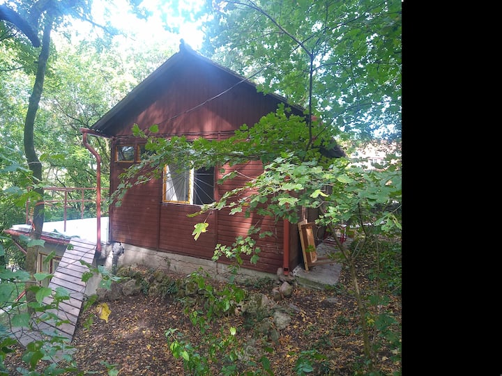 Peace House - Gran
