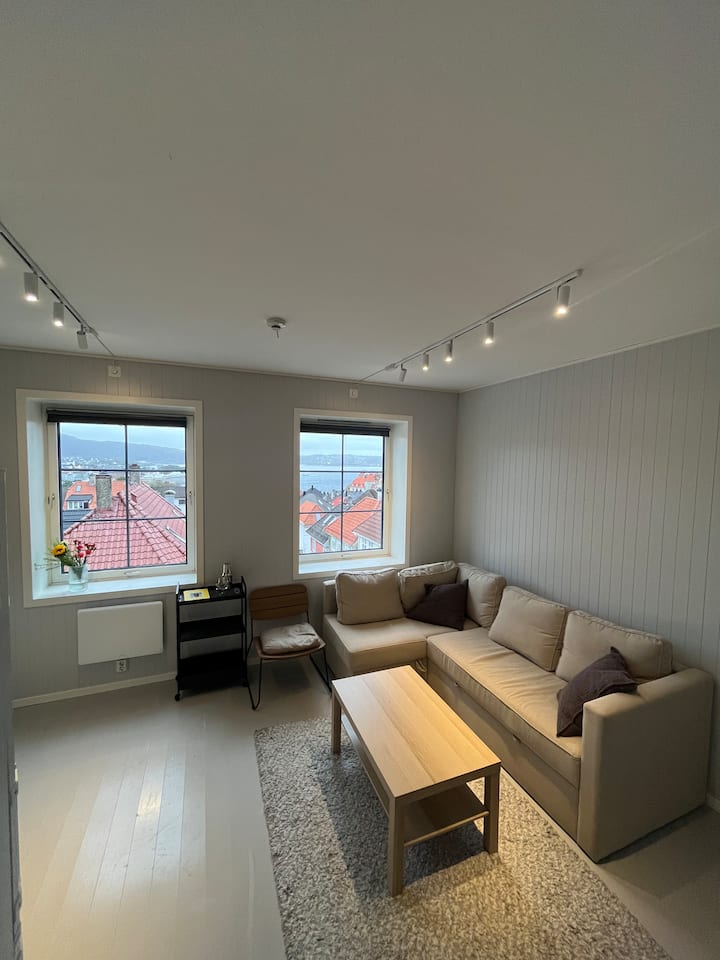 Fin Og Sentral Leilighet I Sandviken Med Sjøutsikt - Bergen