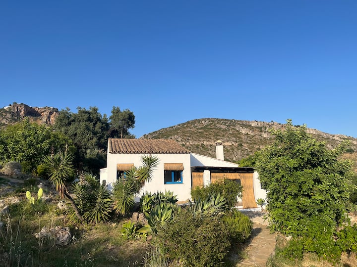 Andalusisches Landhaus Zwischen Olivenbäumen - Casares