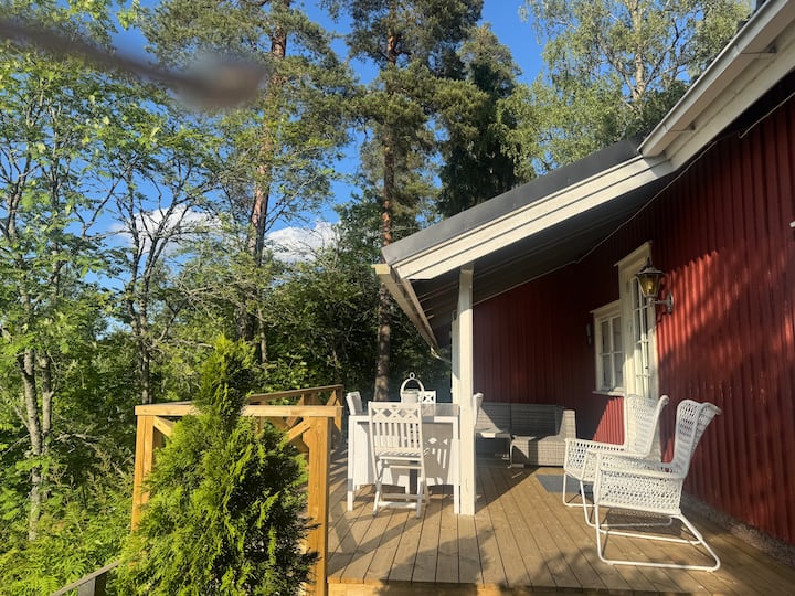 Punatulkku Seeteri Somero - Somero