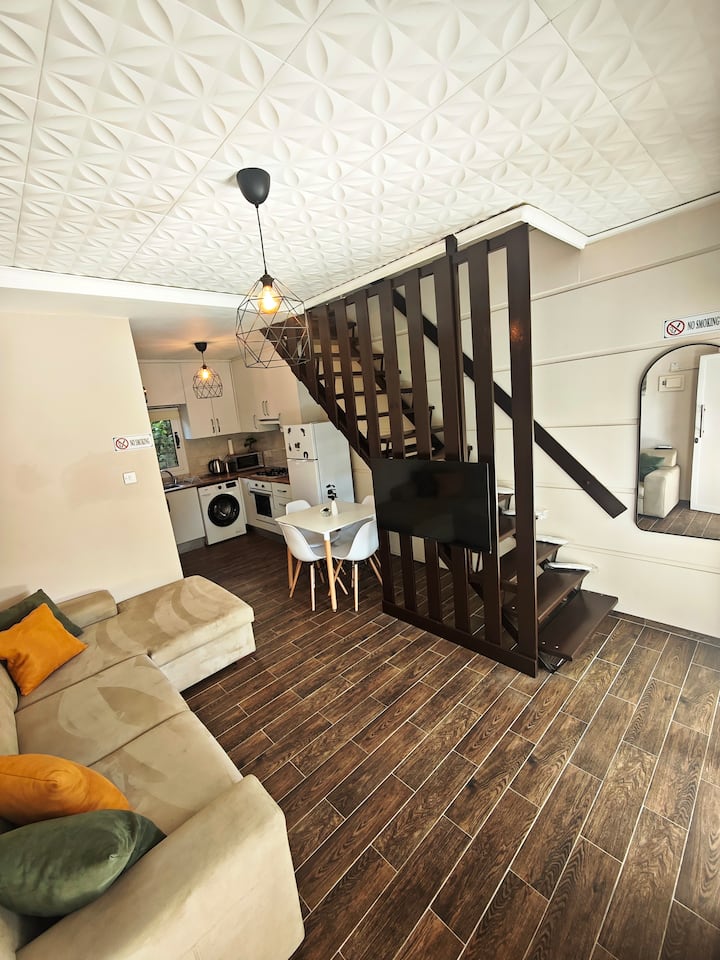 Cozy Corner 2 - Cipro