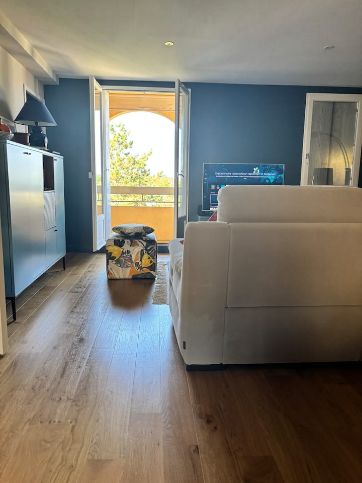 Appartement Centre Ville - Auch