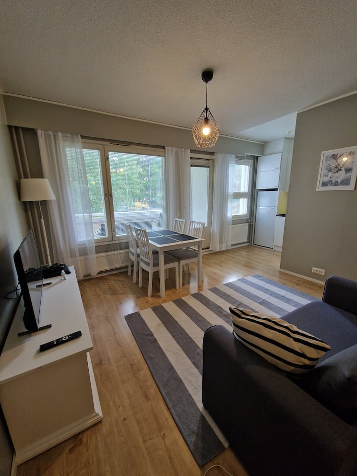 Saunallinen Yksiö Neljälle - Rovaniemi