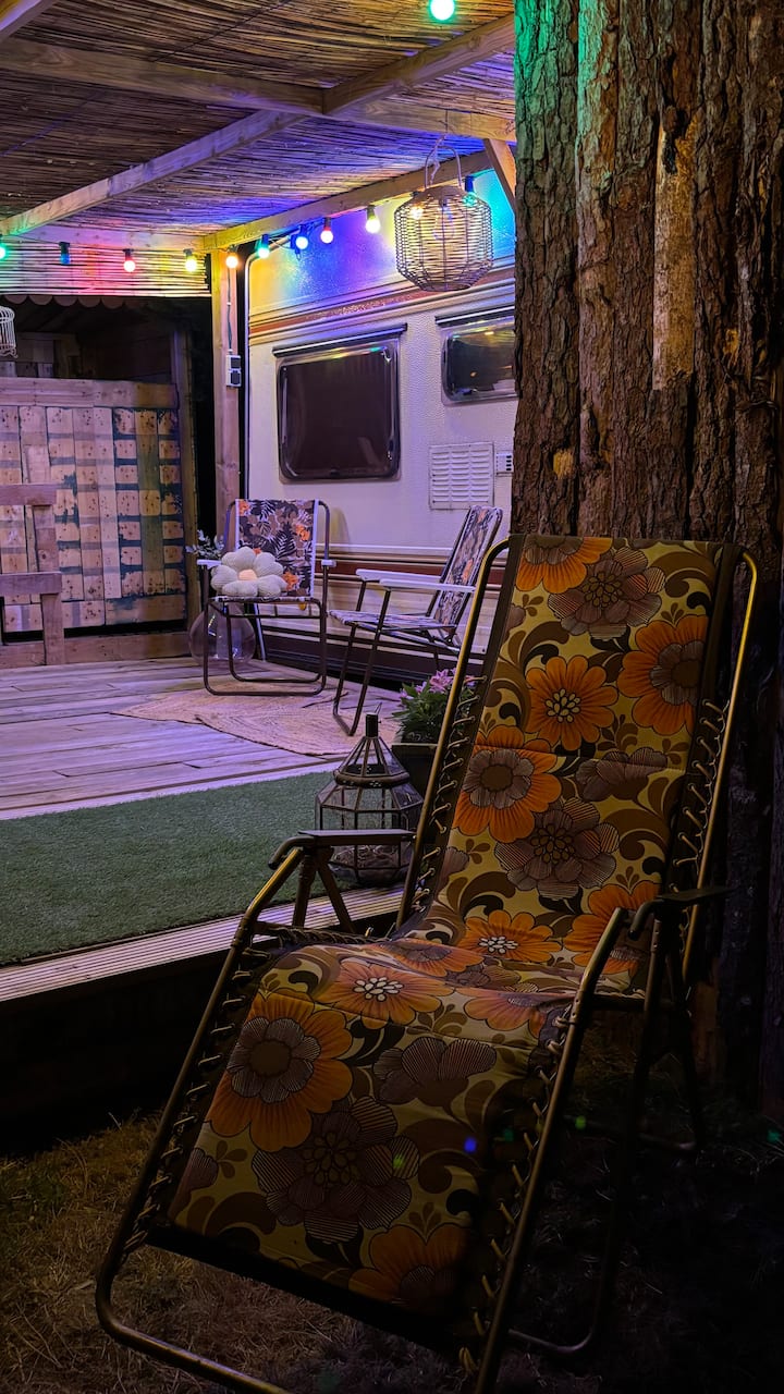 Chambre D’hôtes Dans Notre Caravane Sev'intage - Lalinde