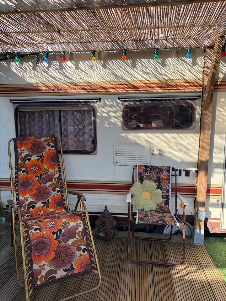 Chambre D’hôtes Dans Notre Caravane Sev'intage - Lalinde