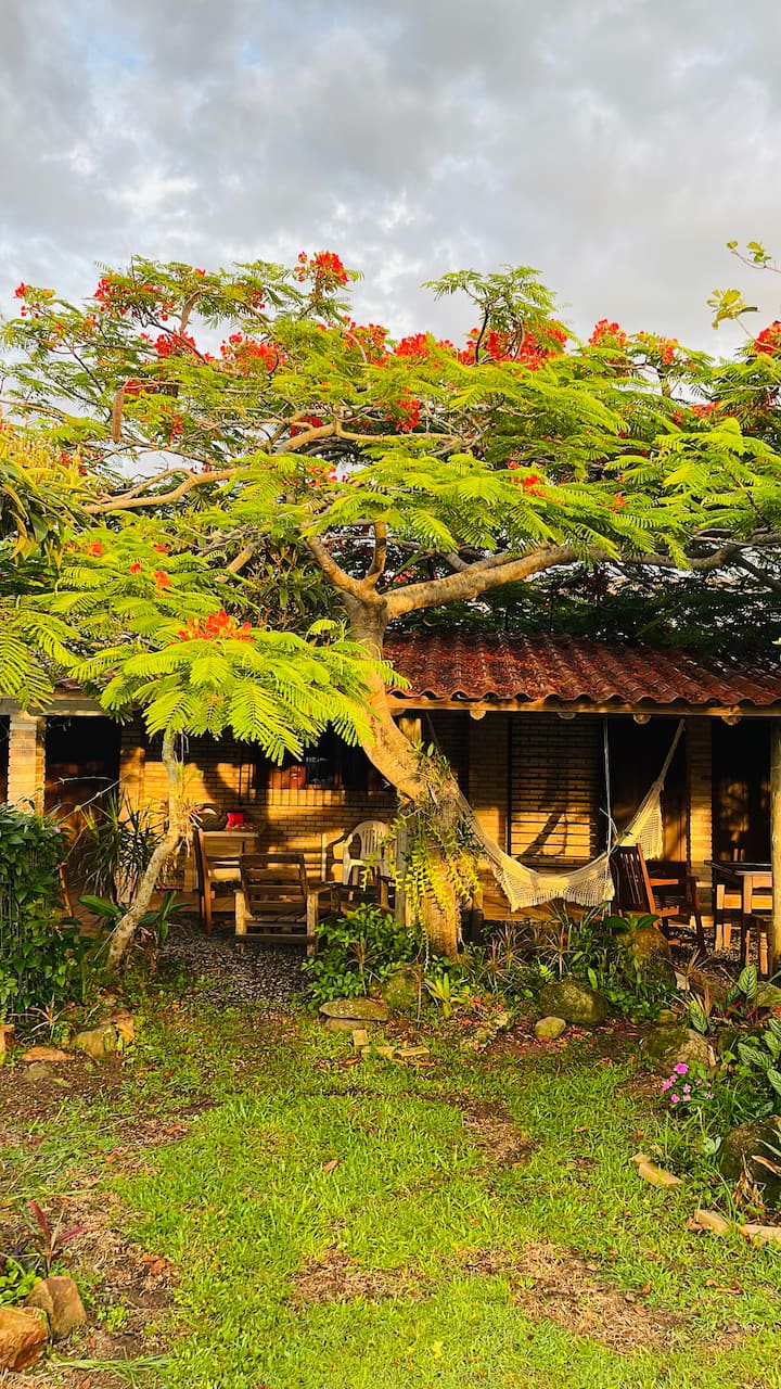 Casa Tropical Em Itapirubá C/ Jardim E Vista - Laguna