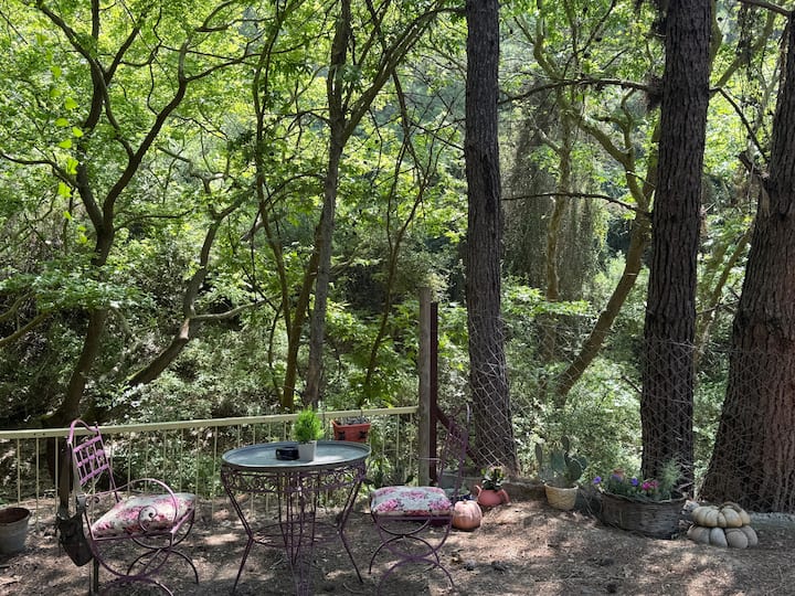 Orman Masal Evi - Seferihisar