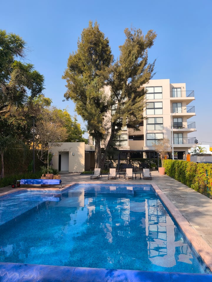 Oasis Urbano En Tlaquepaque. - San Pedro Tlaquepaque