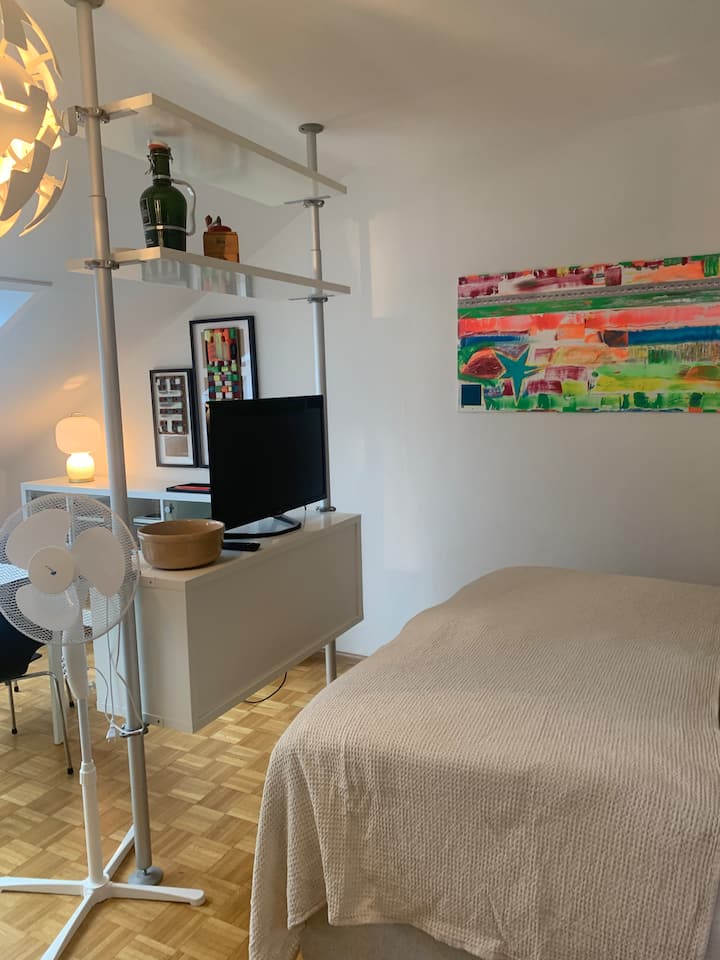 Kleines Appartement In Zentraler Lage - Friburgo