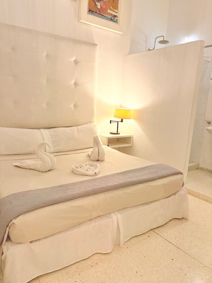 Suite Con Bar/rest. Con Vista Al Mar En La Azotea - Havana