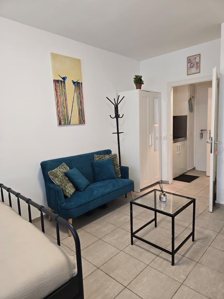 Studio Cosy En Plein Centre - Carouge