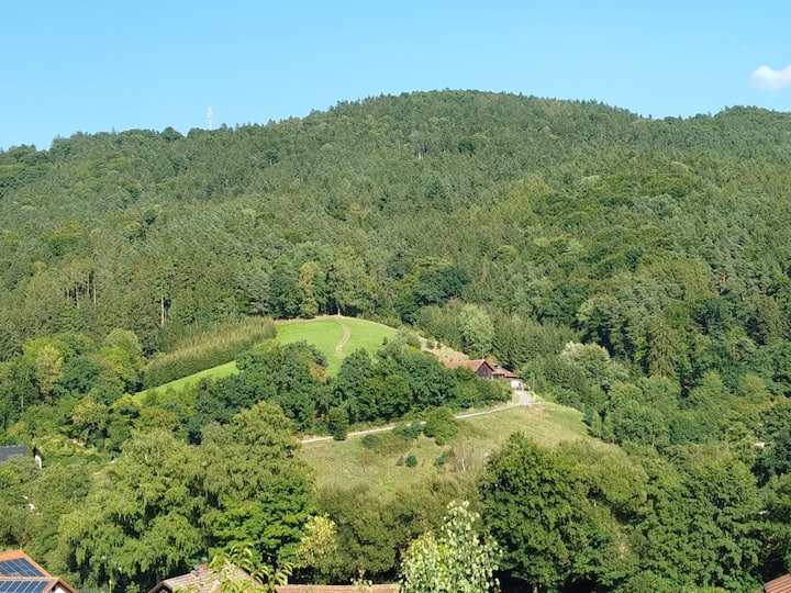 Kleiner Berghof - Cham