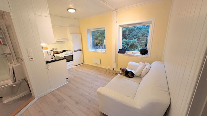 2 Bedroom Apartment Close To Centre - Aéroport de Bergen (BGO)