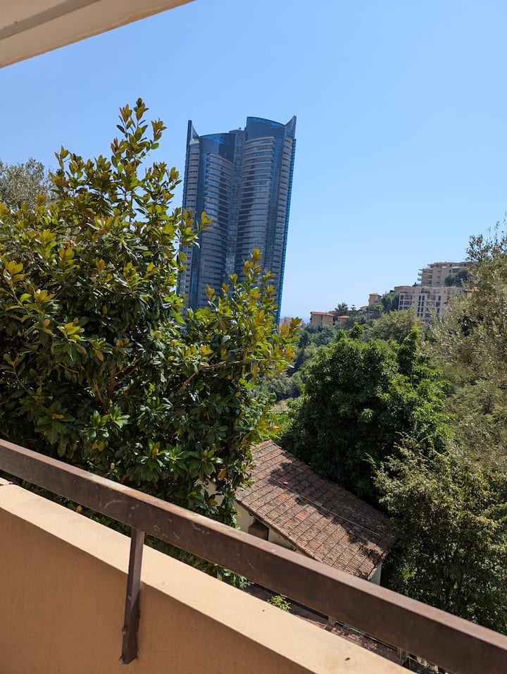 Proximité Immédiate De Monaco Au Calme, Et Piscine - Beausoleil