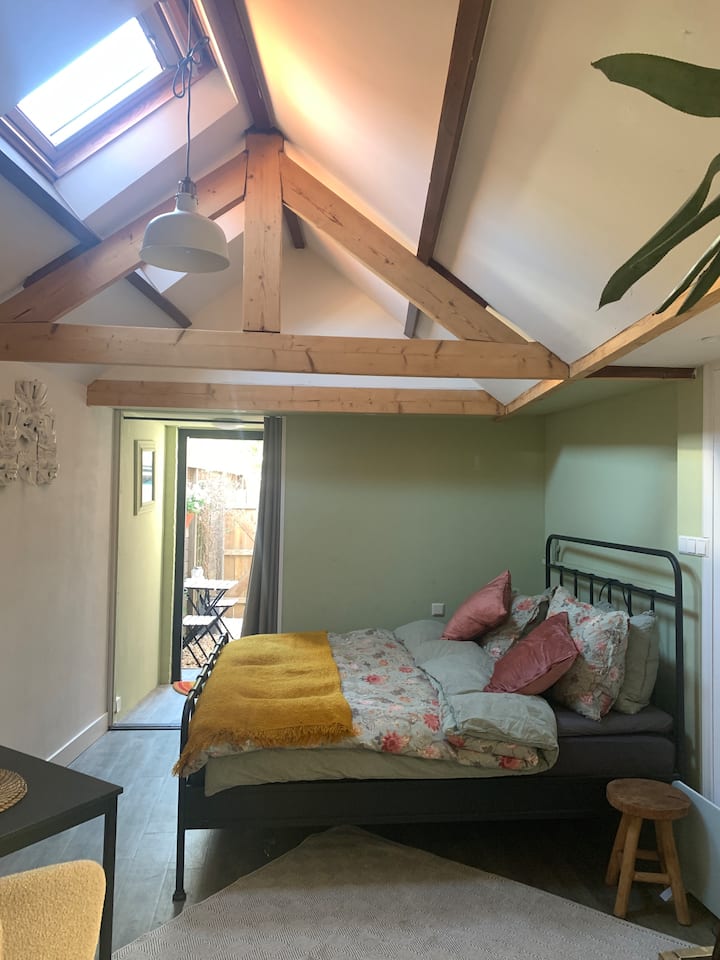 'Sweet Little Betsy' - Hillegom