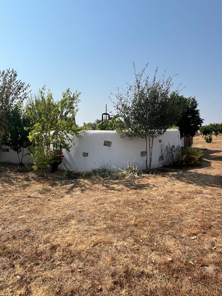 Bungalow Quinta Sete Charòs - Nisa