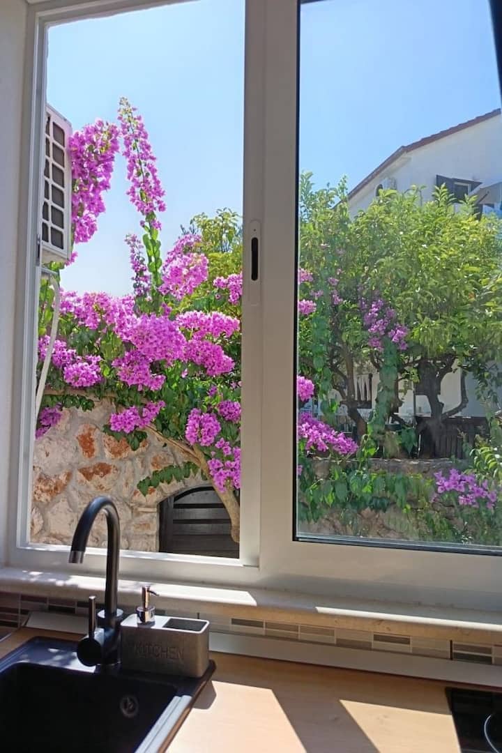 Studio Apartman S Vrtnom Terasom - Jelsa