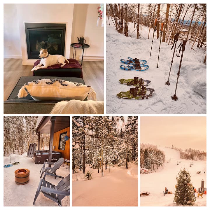 Chalet Au Pied Des Pistes +Spa+rando - Thetford Mines
